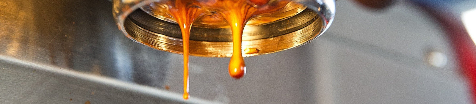 Honeybird Coffee | Fresh Coffee Beans | Australian Roasted – Honeybird ...